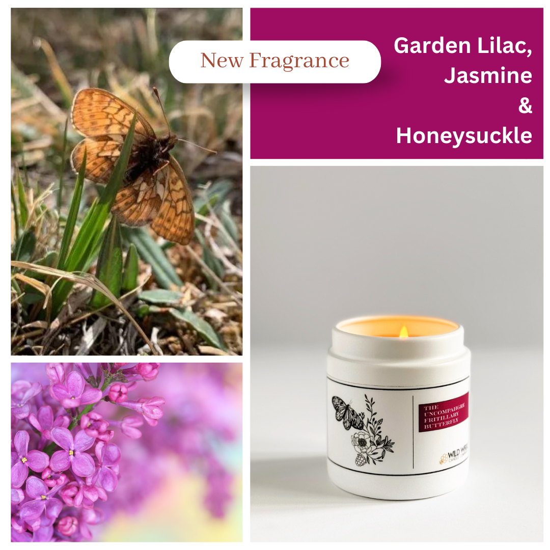 Wild Wax Candle Company