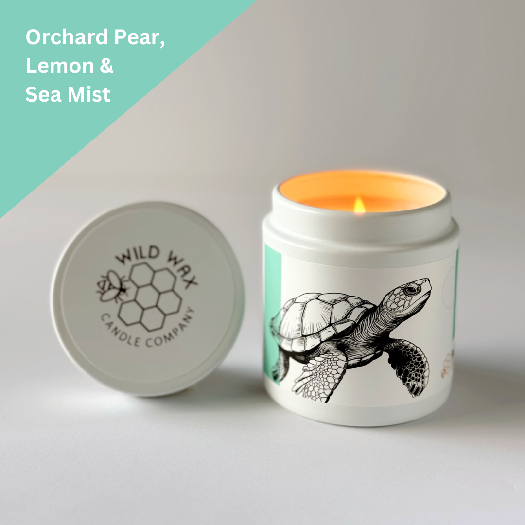 Large Tin | Hawksbill Sea Turtle Candle $34.00– Wild Wax Candle Company